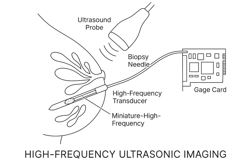 GaGe Digitizers in Cancer and Diagnostic Applications | Vitrekv