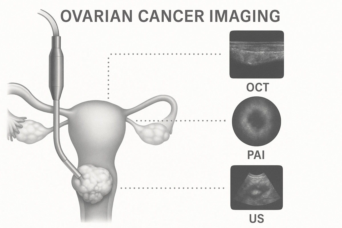 GaGe Digitizers in Cancer and Diagnostic Applications | Vitrekv