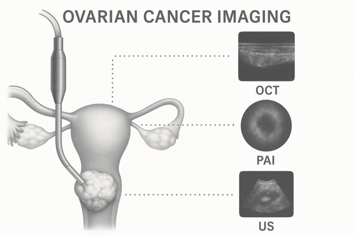 GaGe Digitizers in Cancer and Diagnostic Applications | Vitrekv
